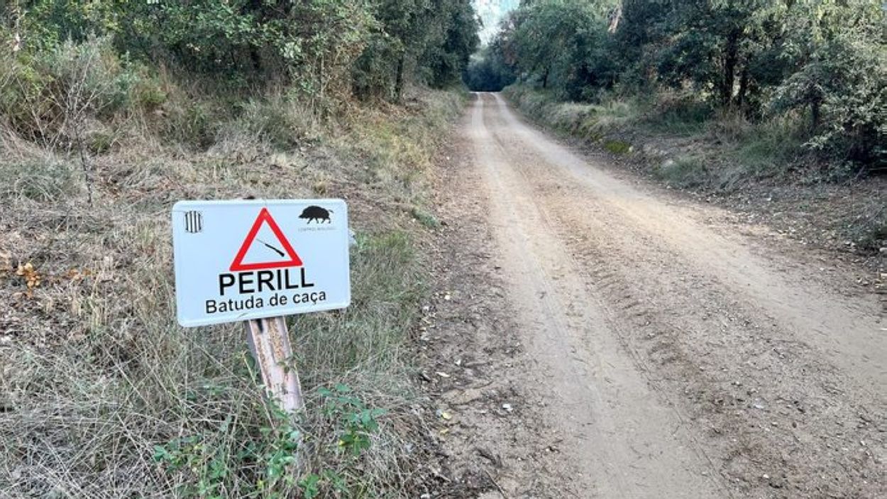 Nou protocol per fer les batudes de caça a Collserola "més segures ...